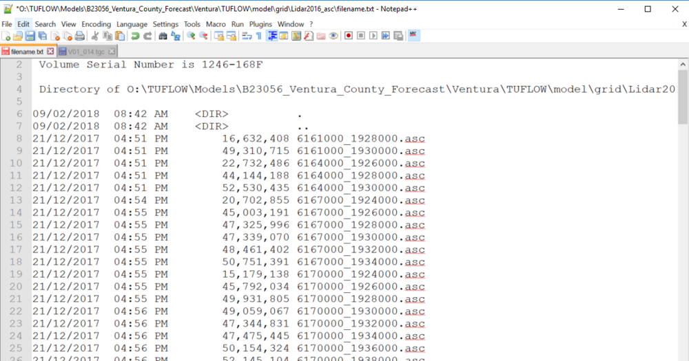 Console Window Directory File List - Tuflow